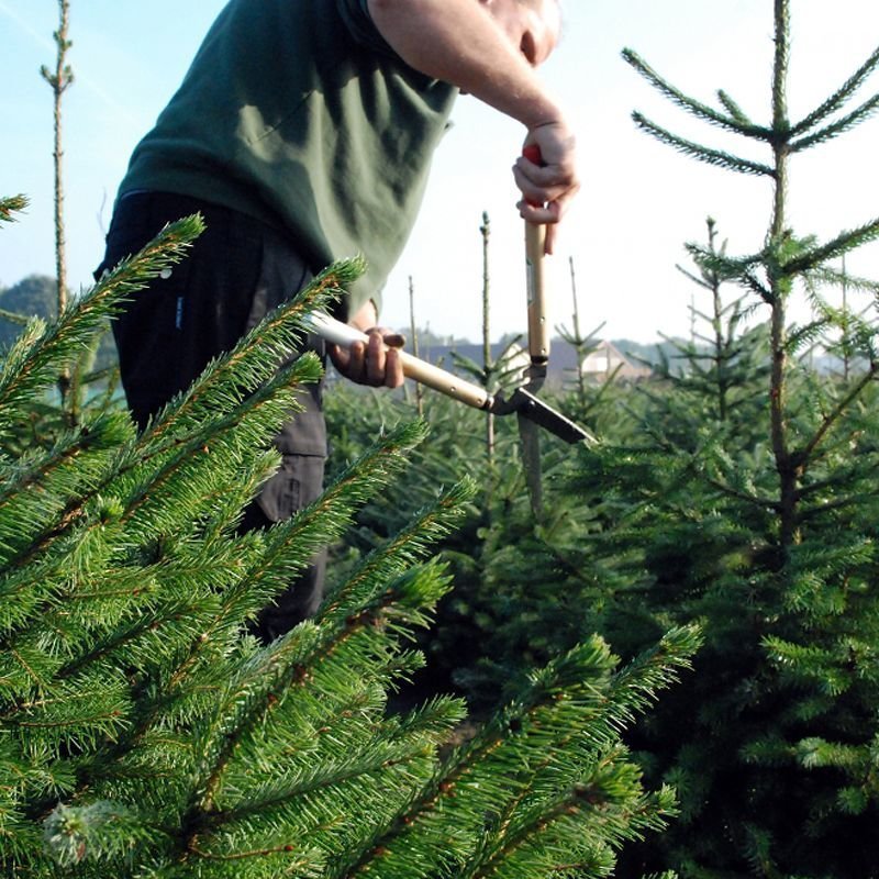 Foarfeca pentru gard viu Okatsune 231 - Gardenpedia
