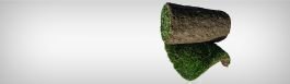 Gazon rulou natural Premium, Gazonul - Gardenpedia